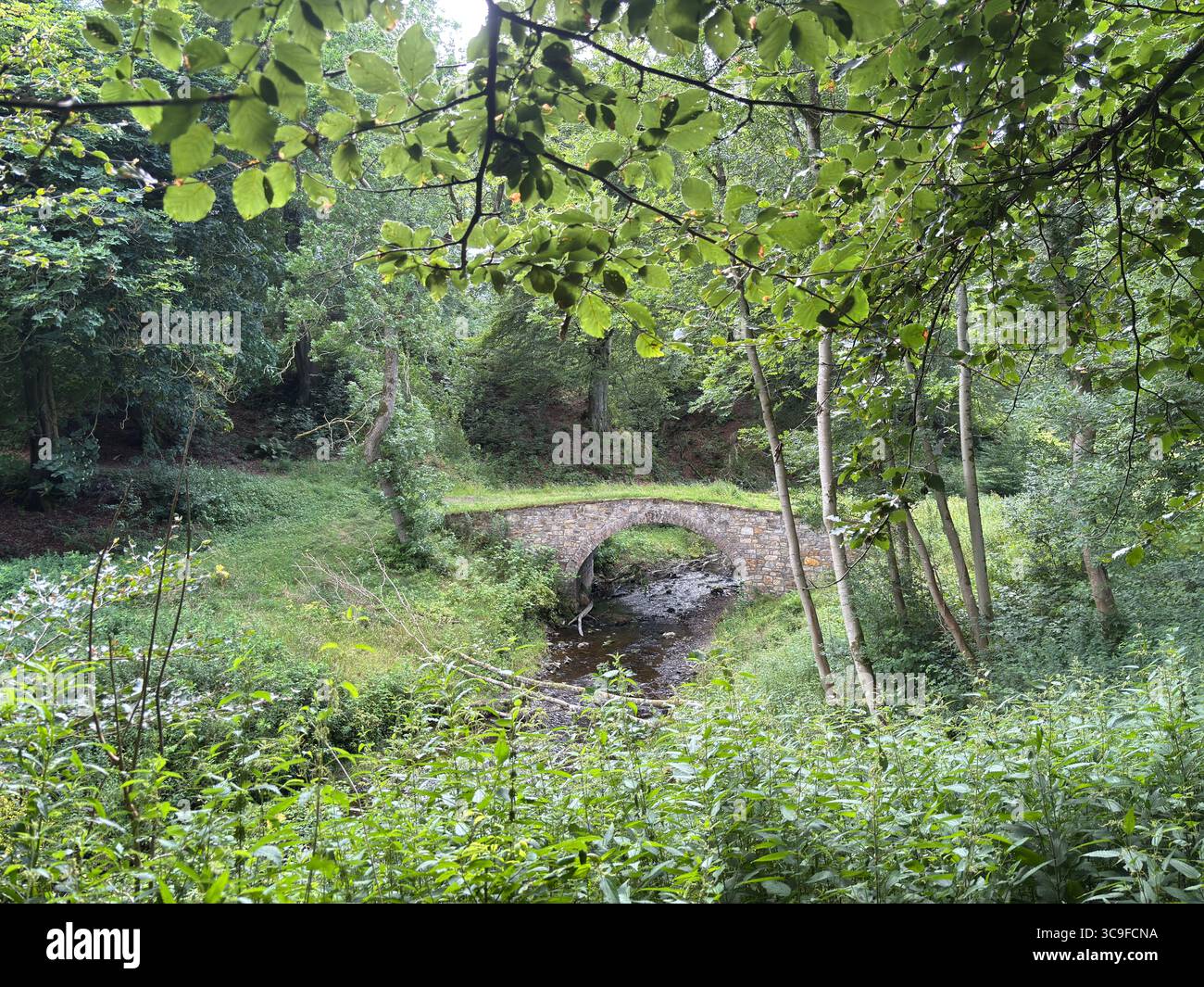 Historic stone Mill Bridge at Habbie’s Howe near Carlops, spanning ...