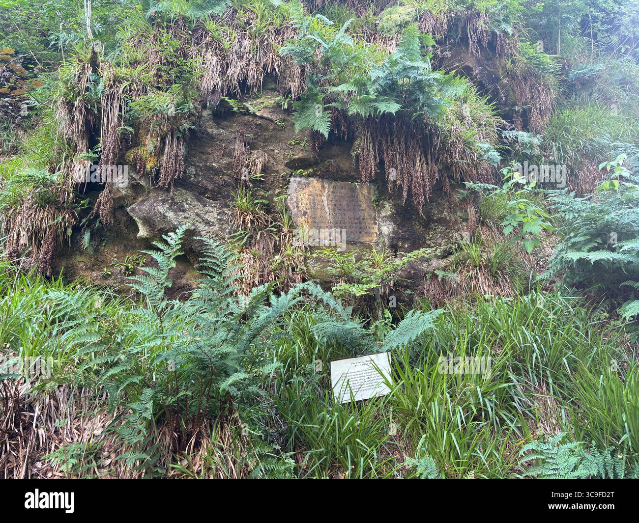Summer scene at Habbie’s Howe near Carlops, famed for its lush gorge ...