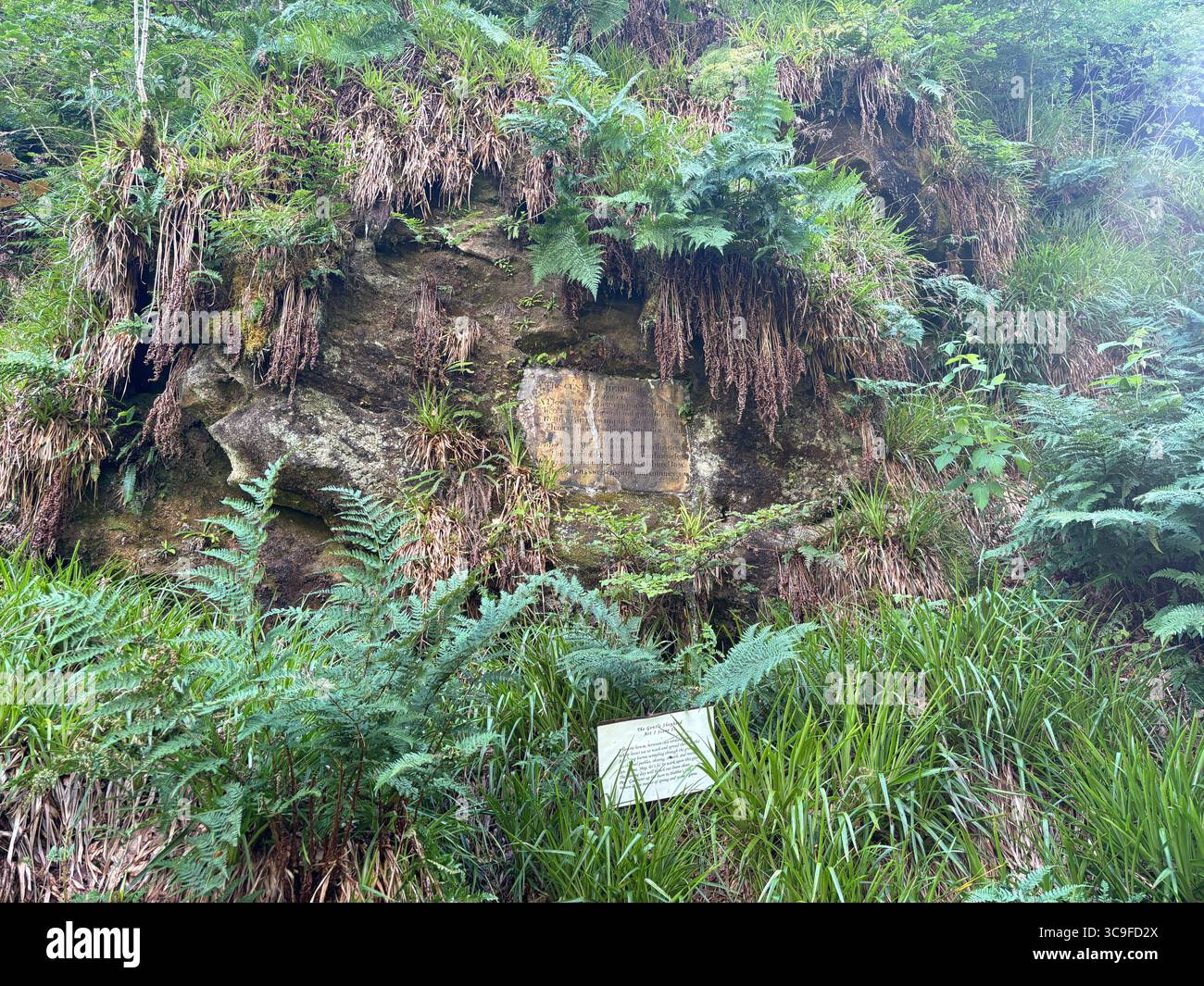 Summer scene at Habbie’s Howe near Carlops, famed for its lush gorge ...