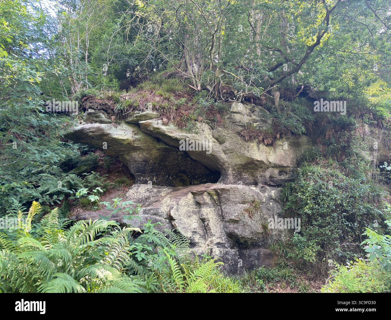 Summer scene at Habbie’s Howe near Carlops, famed for its lush gorge ...