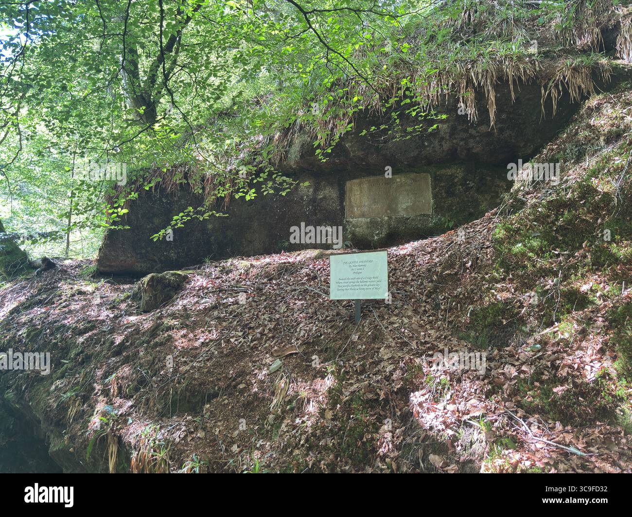 Habbies hi-res stock photography and images - Alamy