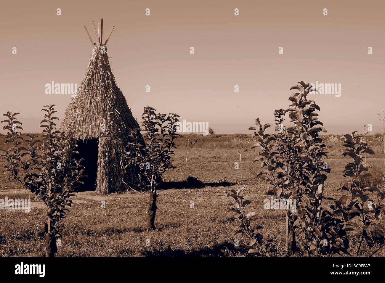 Teepee aka wigwam in the field with young trees. Vintage sepia toned ...