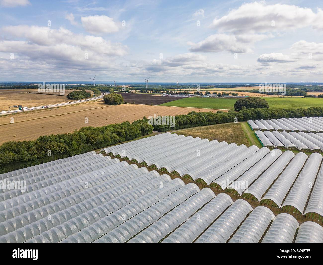 Annabelles delicious strawberries hi-res stock photography and images ...