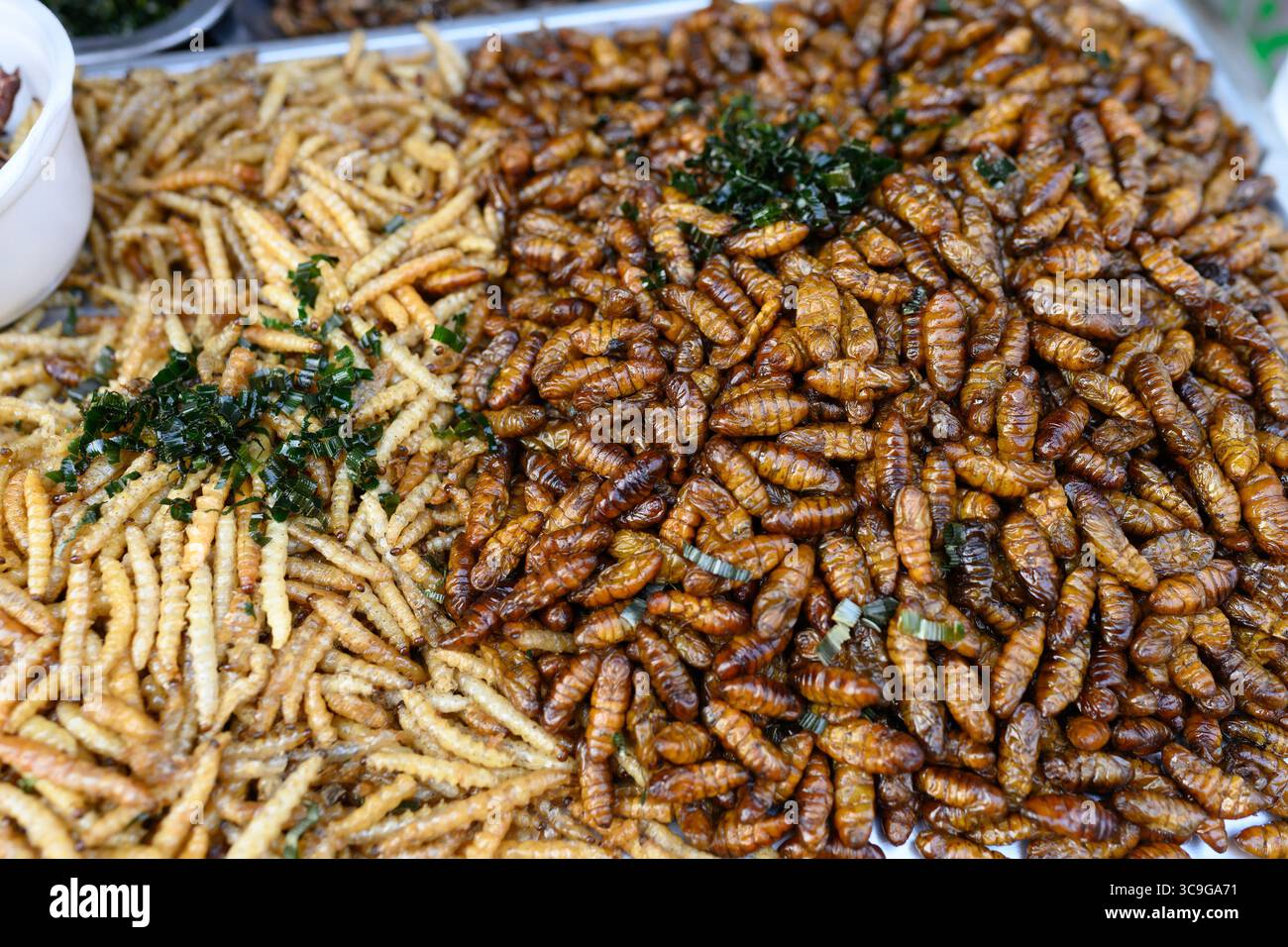 Selection edible bugs insects hi-res stock photography and images - Alamy