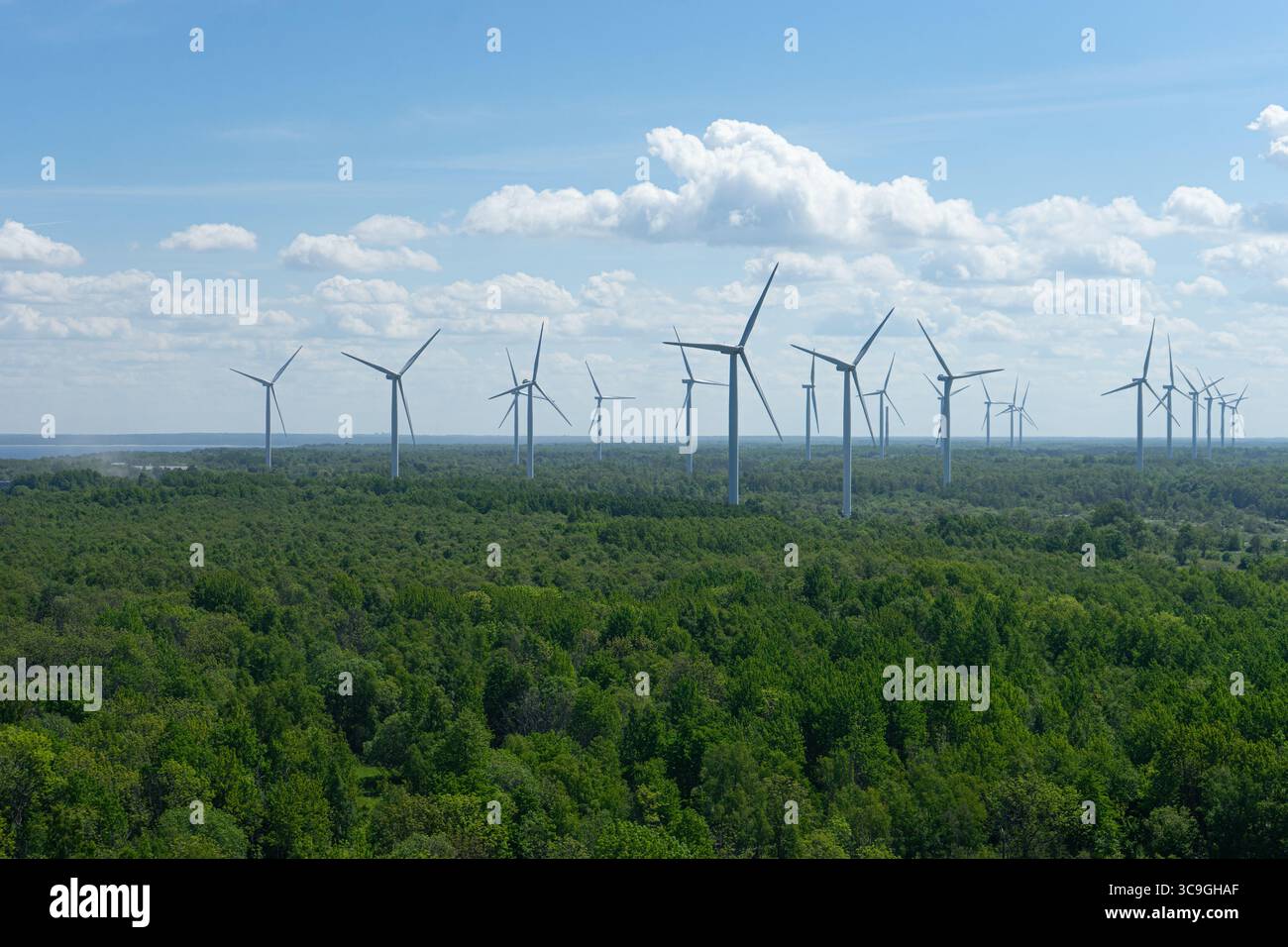 Wind turbines rising above a dense green forest under a bright blue sky ...