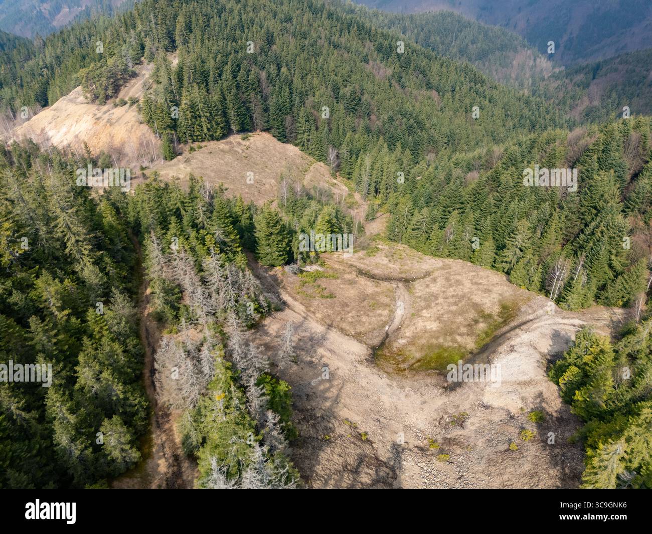 Aerial view of barren patches amidst the dense, verdant forest creates ...