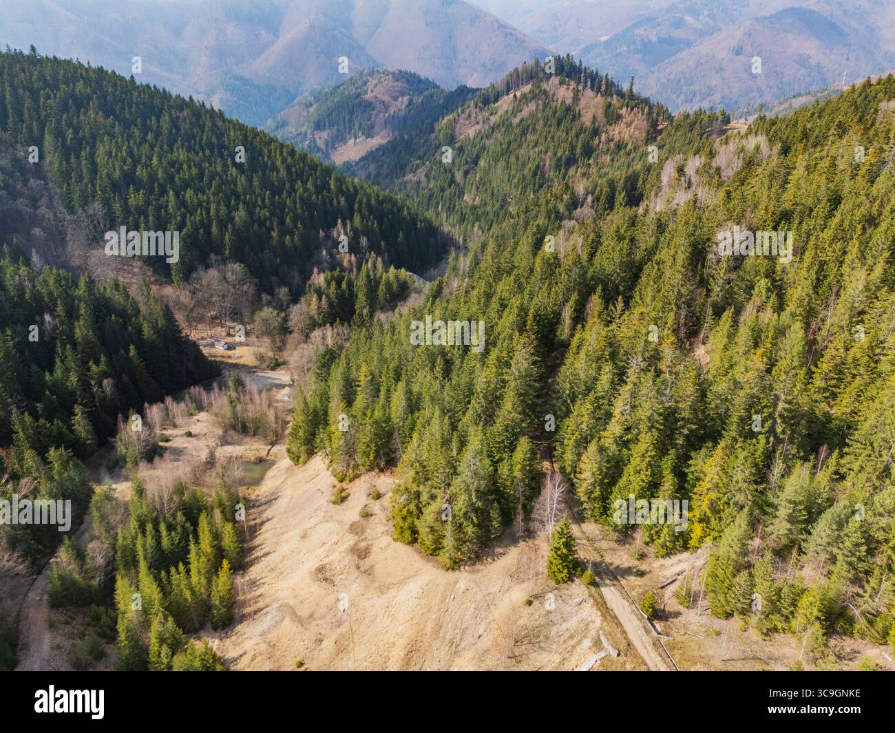 Aerial view of lush green forests blanketing rolling hills, creating a ...