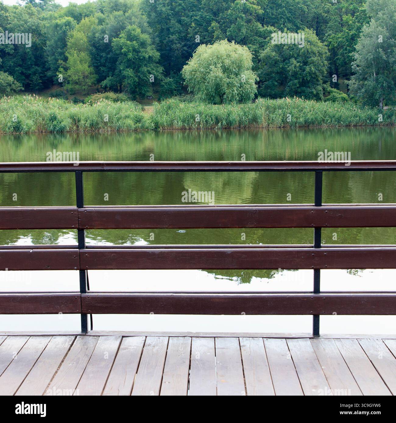 A wooden railing overlooks a calm lake surrounded by lush green trees ...