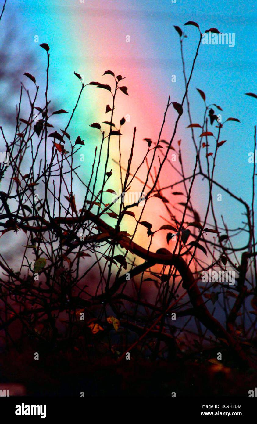 rainbow as a meteorological phenomenon and object in culture and ...