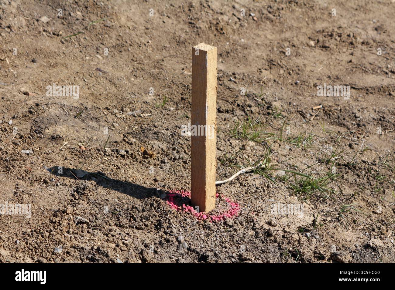 Alignment stake hi-res stock photography and images - Alamy