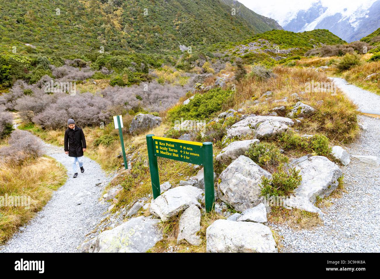Aoraki Mount Cook National Park, male walker on the Kea Point track ...
