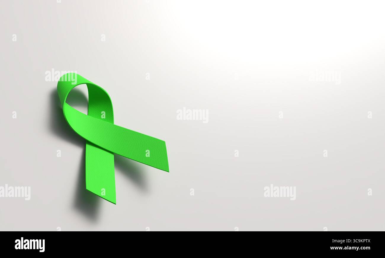 ribbon bow green color object icon white isolate color background ...