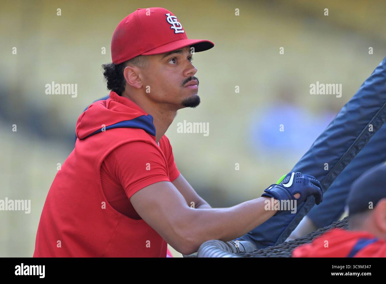 St. Louis Cardinals' Masyn Winn looks on from the batting cage prior to ...