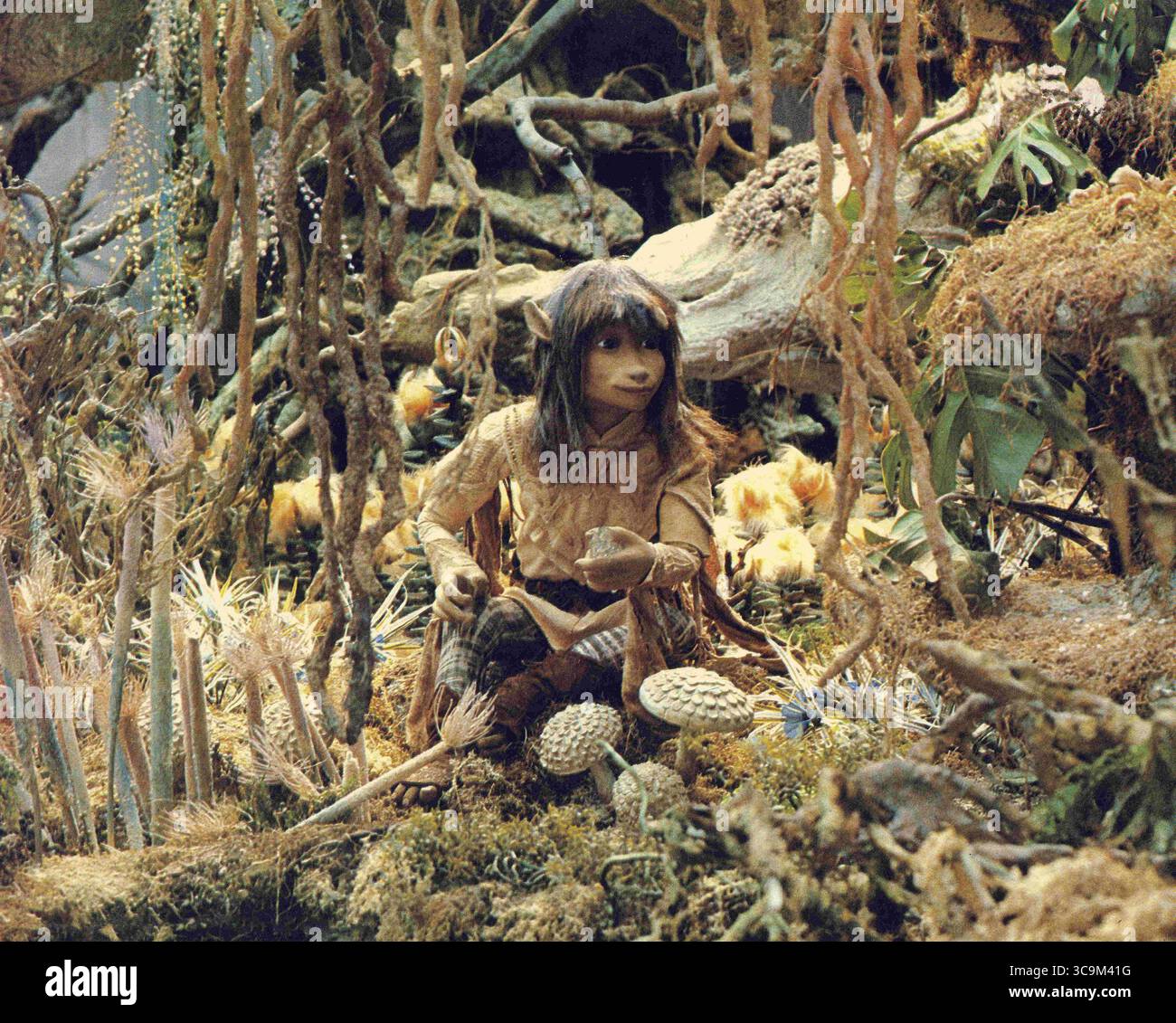 Gelfing hi-res stock photography and images - Alamy