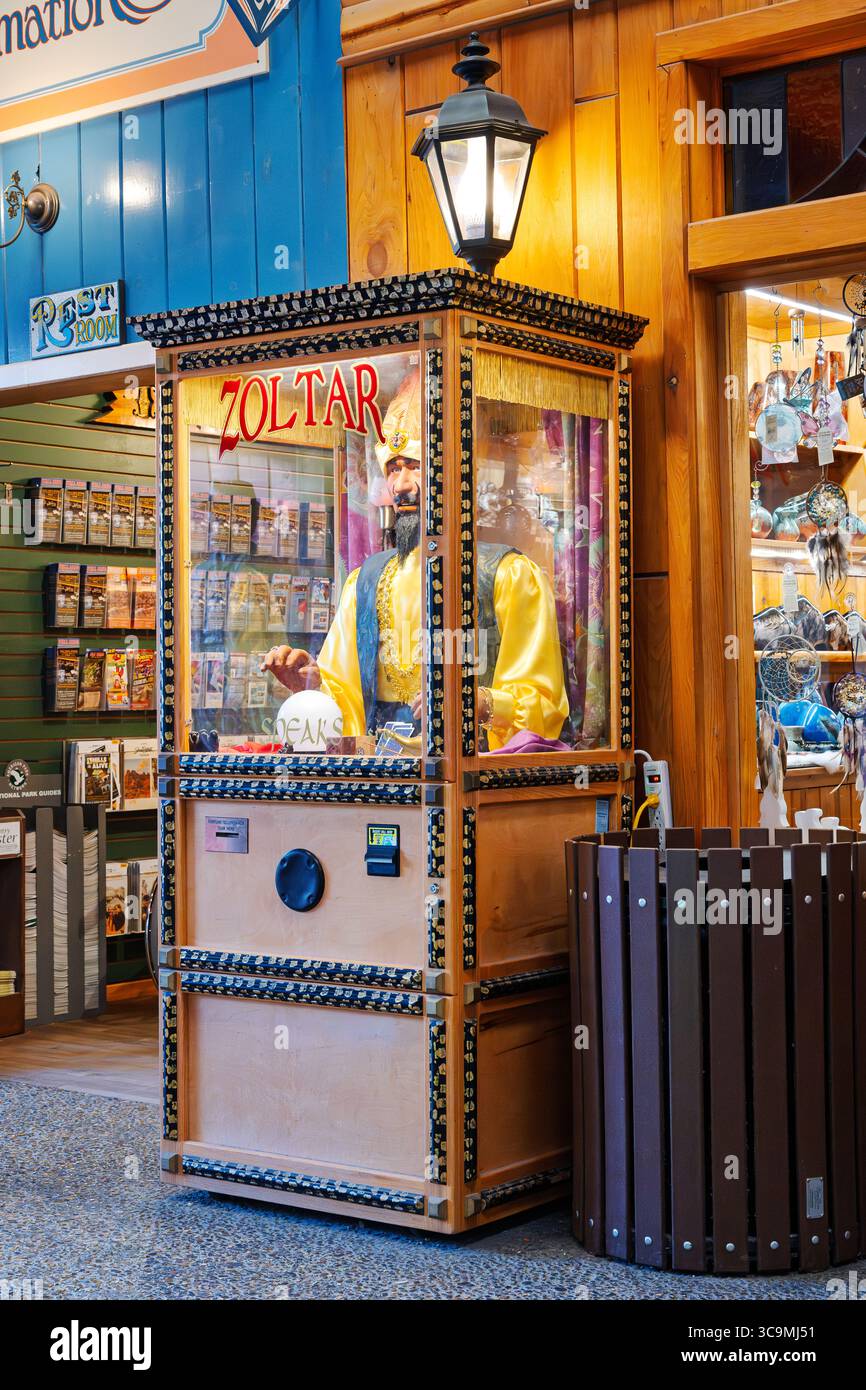 The iconic, animatronic fortune-telling arcade machine Zoltar, known ...