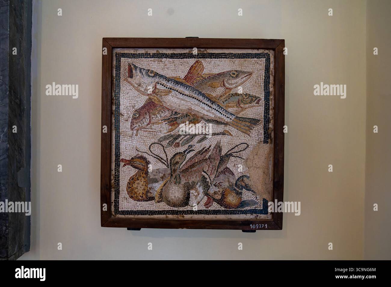 First century mosaic from Pompeii in the National Archaeological Museum ...