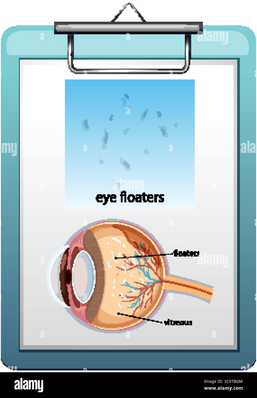 The floaters Cut Out Stock Images & Pictures - Alamy