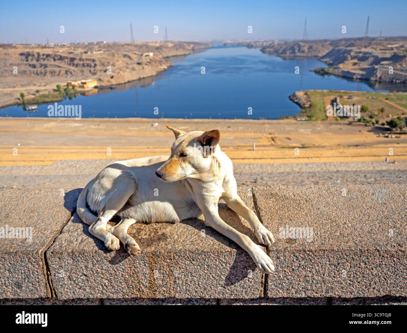 Aswan high dam on hi-res stock photography and images - Alamy