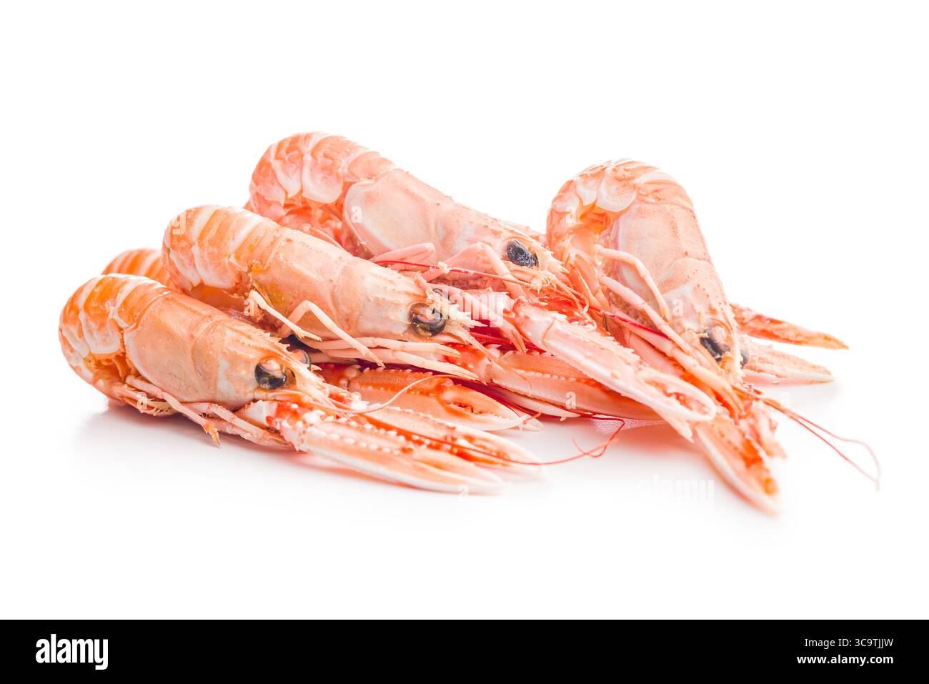 Langoustine Cut Out Stock Images & Pictures - Alamy