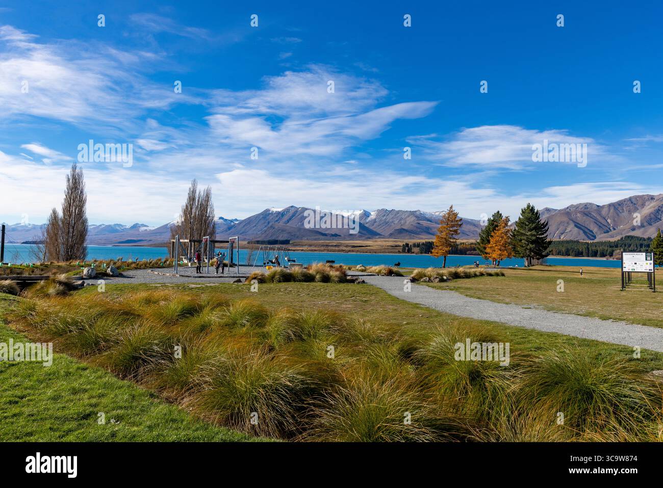 Lake Tekapo, Canterbury,New Zealand, view of the lake and autumn tree ...