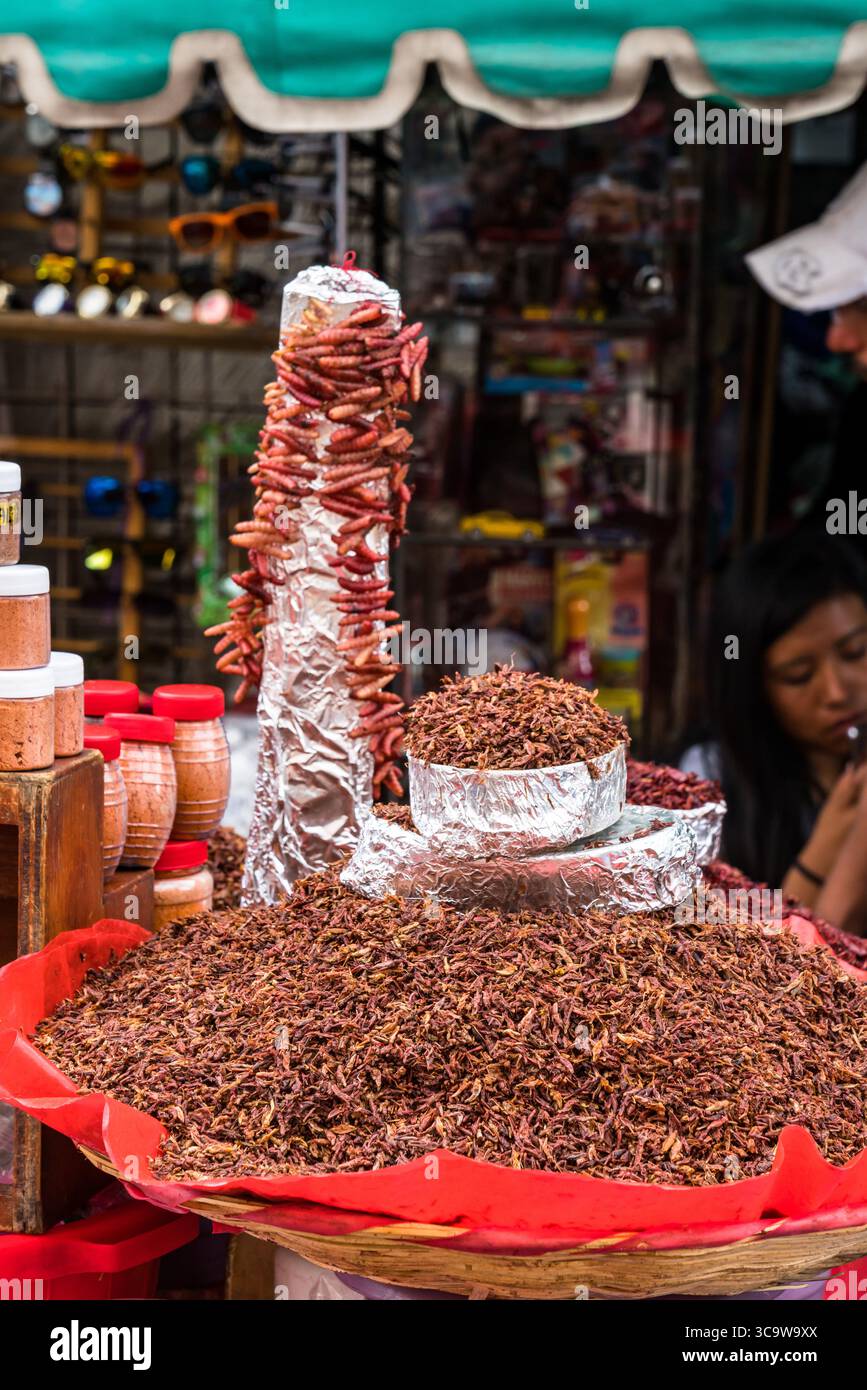 Red maguey worms hi-res stock photography and images - Alamy