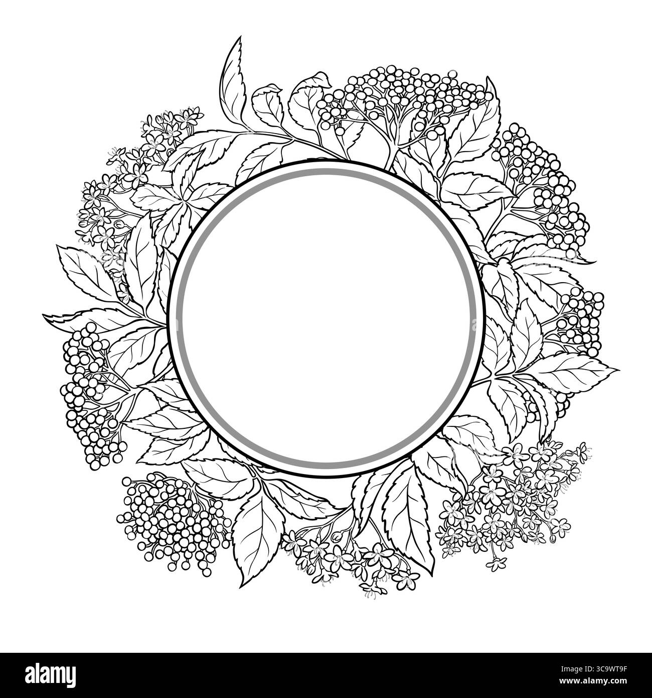 Berry berries shrub Black and White Stock Photos & Images - Alamy