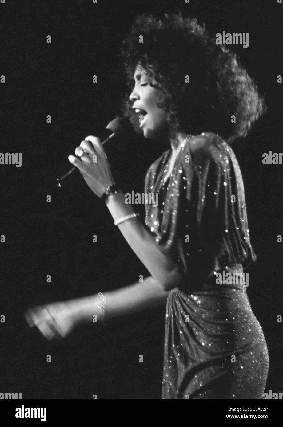 Whitney houston tour hi-res stock photography and images - Alamy