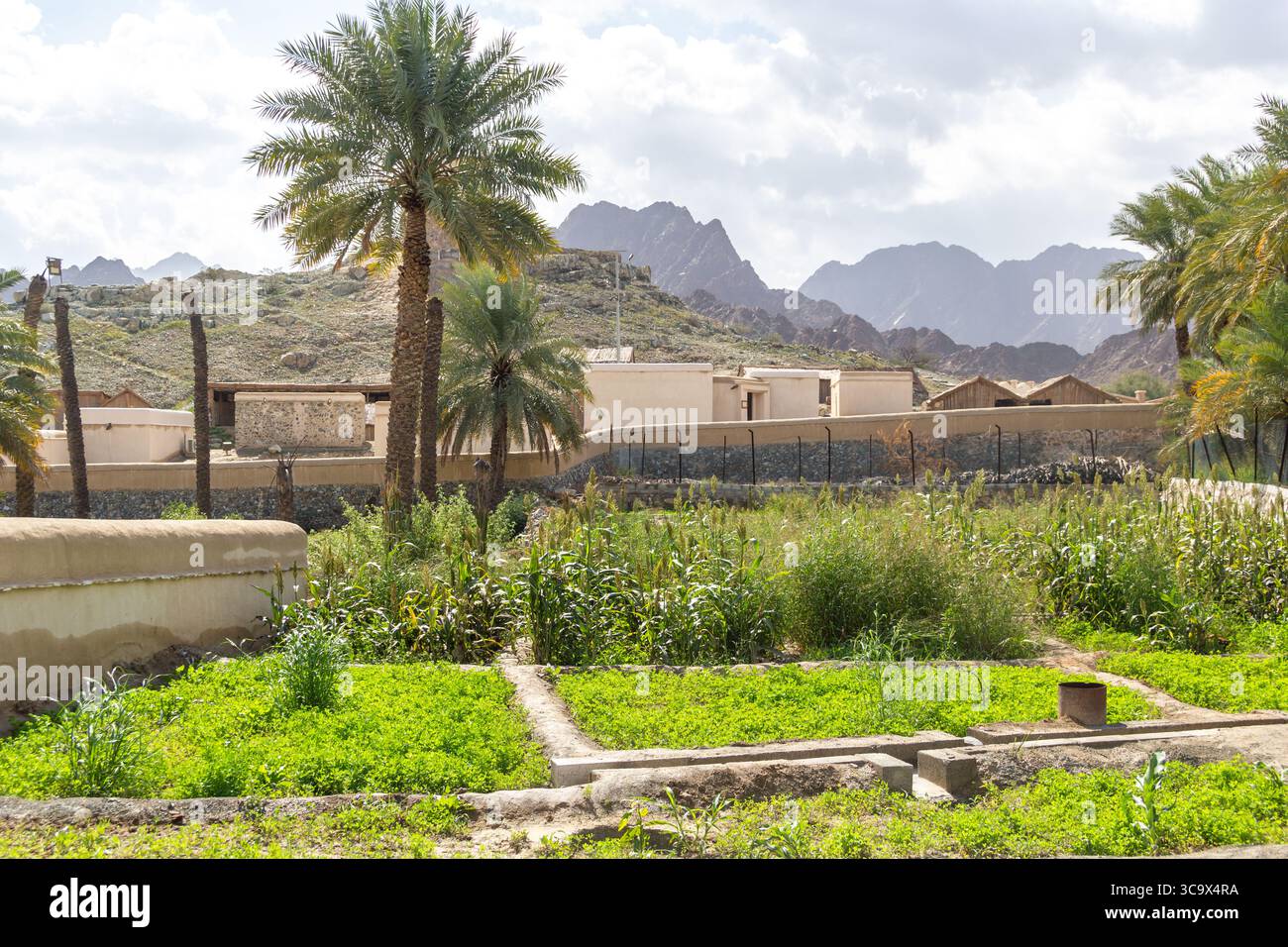 Green Oasis, Mountain Village Stock Photo - Alamy