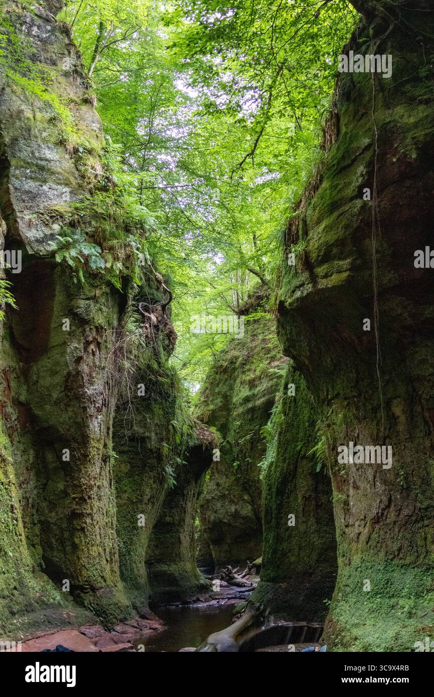 Scenic moss-covered gorge with dramatic rock walls, lush greenery, and ...