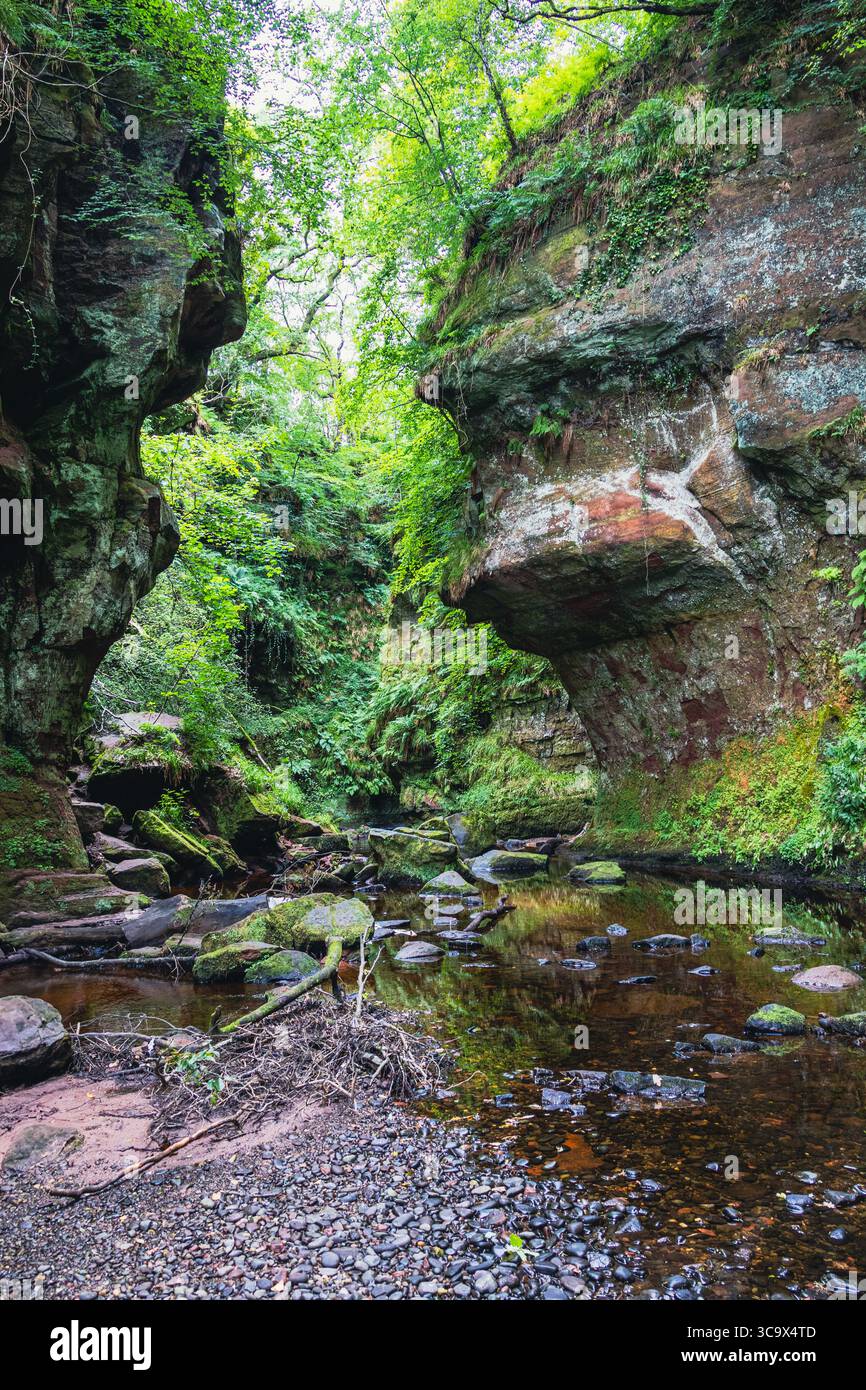 A scenic rocky gorge with vibrant green foliage and a shallow stream ...