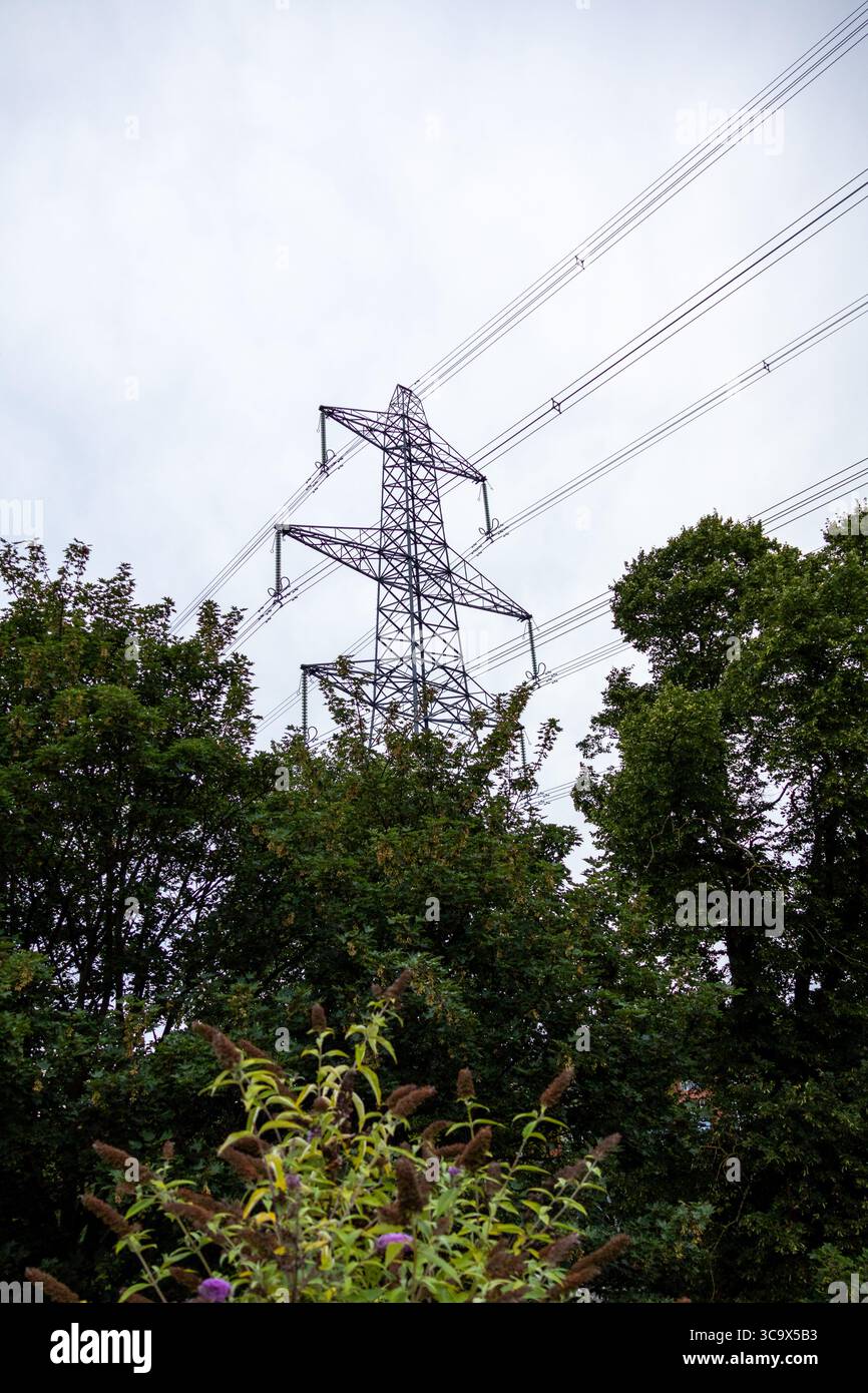Electricity pylon towering above trees under a cloudy sky Stock Photo ...