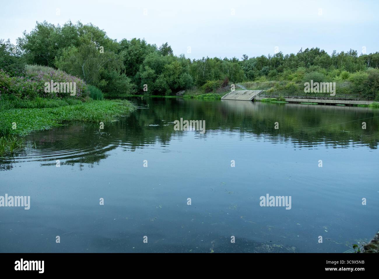 Calm river landscape with greenery and concrete steps on a cloudy day ...