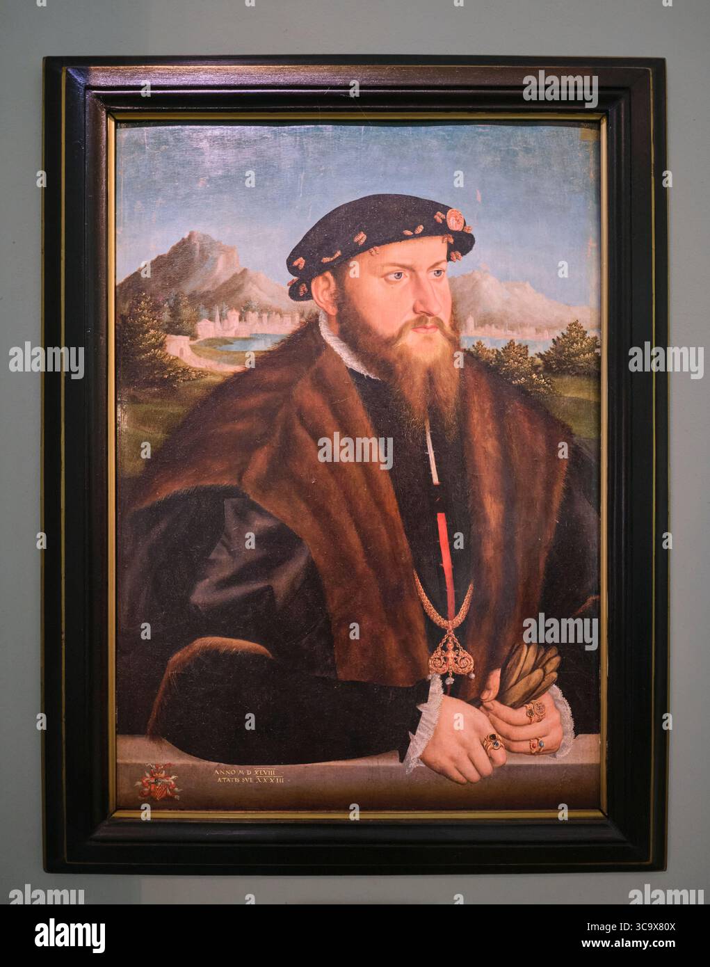 Portrait of a Man by painter Hans Muelich. Man with a beard. At the art museum, library ...
