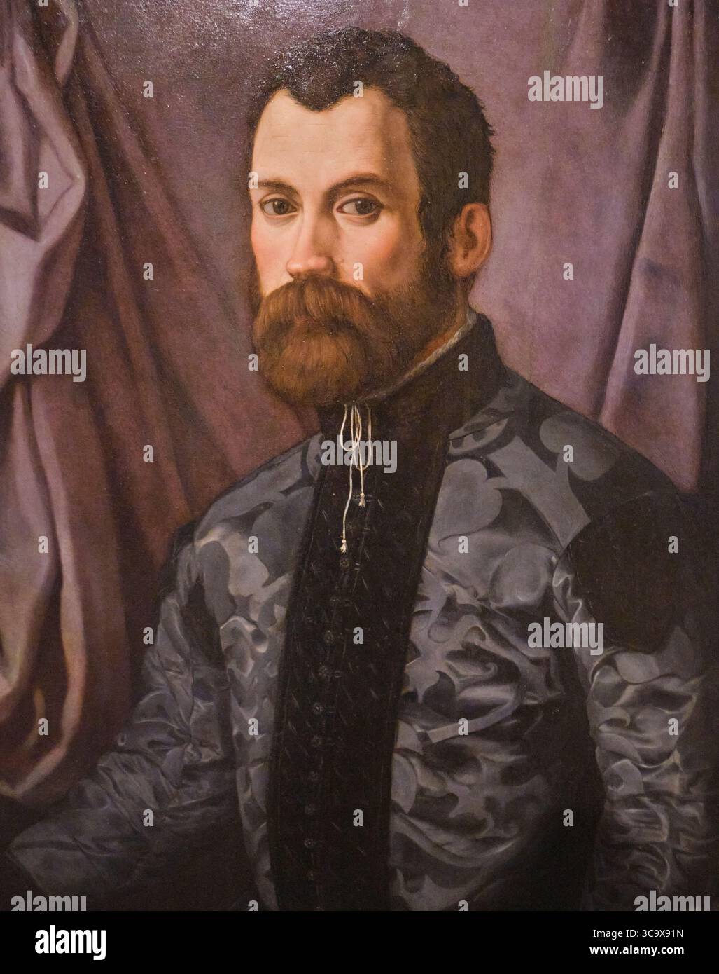 Portrait of a Man by Agnolo Bronzino. Detail of beard. At the art museum, library, Biblioteca ...