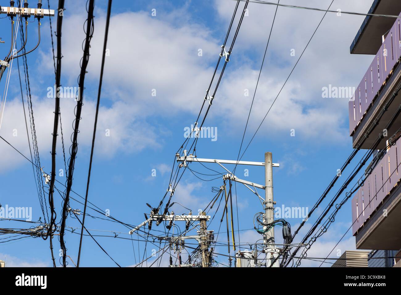 Dense web of electric cables stretches between tall utility poles in a ...