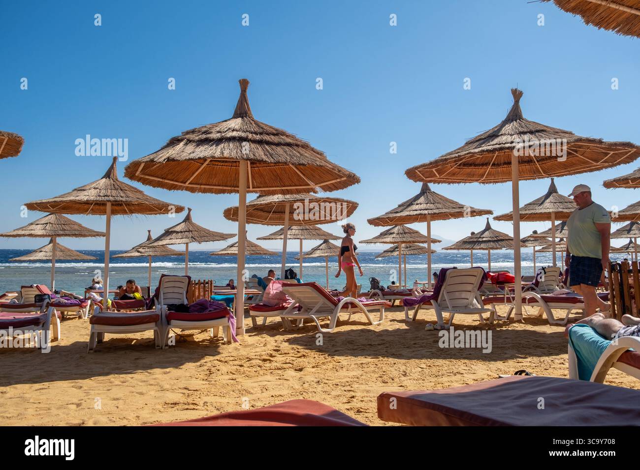 Sunbathers Relax Under Straw Umbrellas on a Sandy Beach Near the Ocean ...