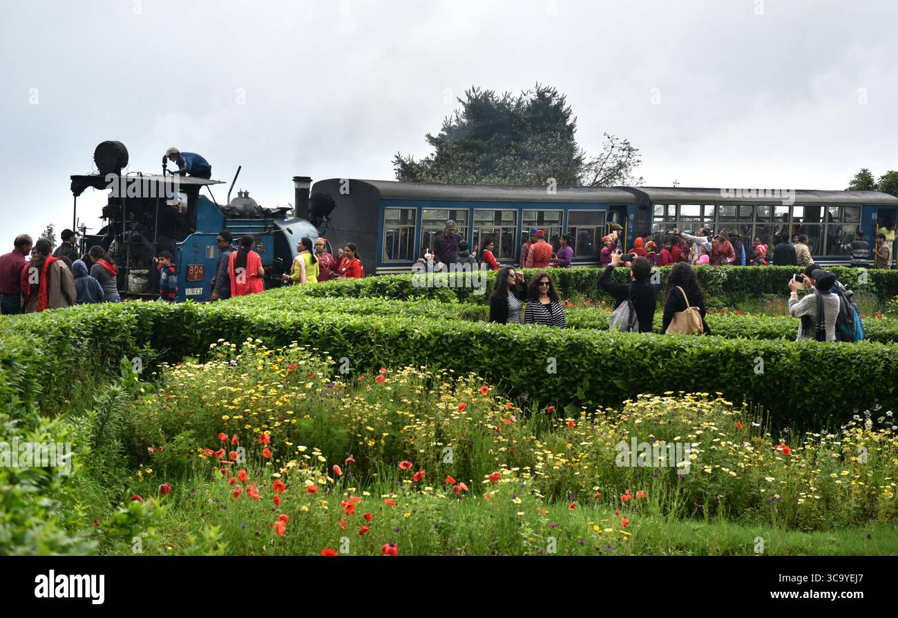 Darjeeling Toy Train also known as Darjeeling Himalayan Railway an ...