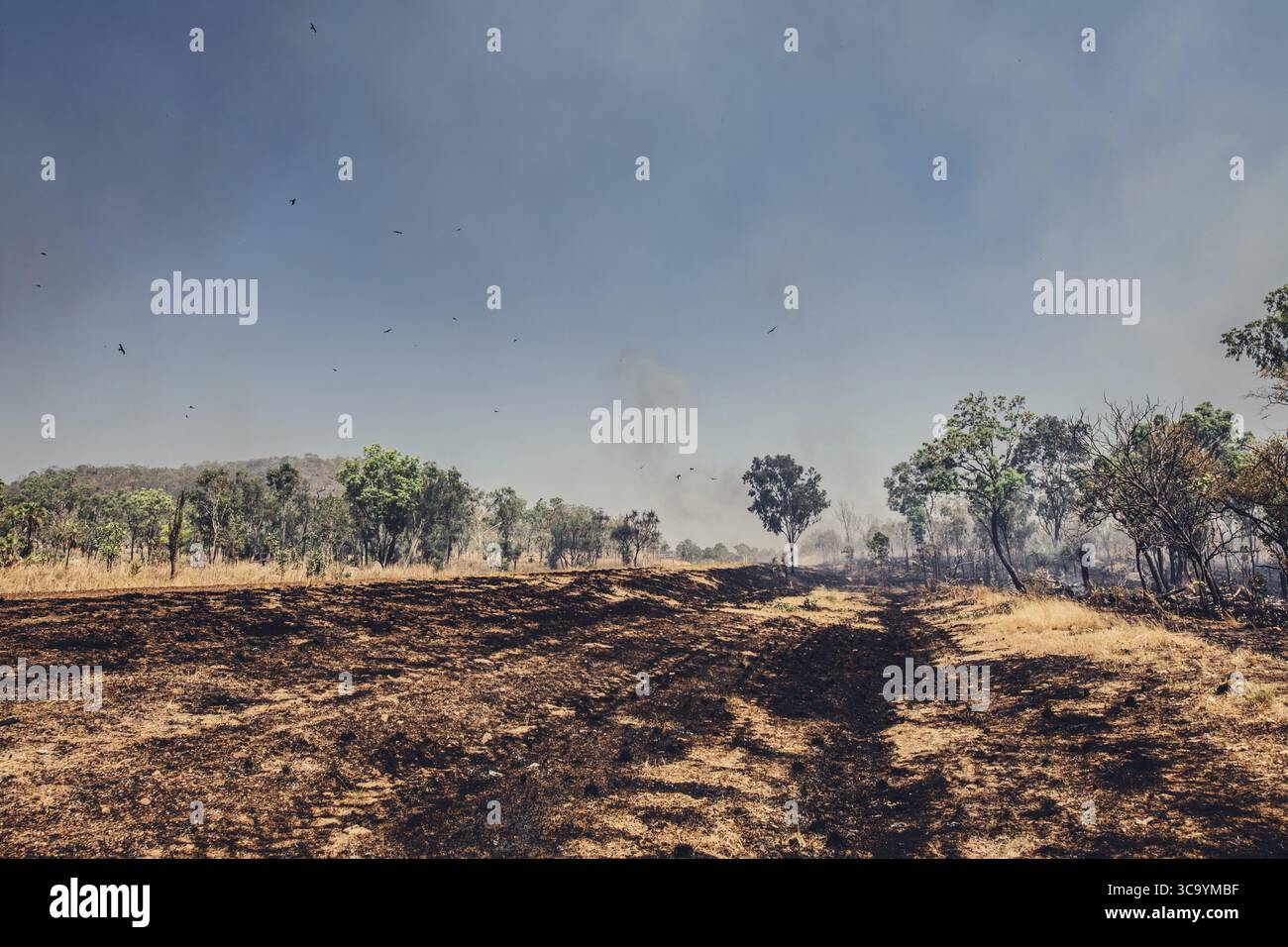 Bushfires in the Australian outback Stock Photo - Alamy