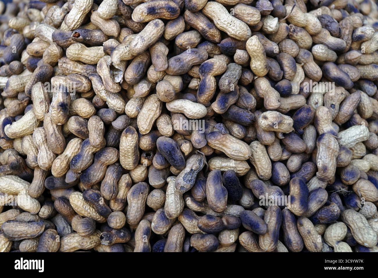 A pile of unshelled peanuts on a market stall, Jaisalmer, Kuri Desert ...