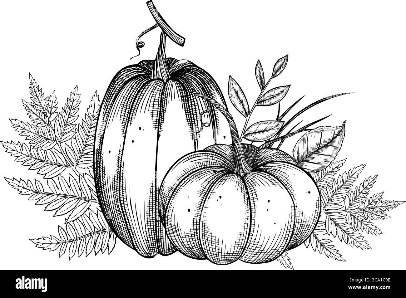 Rustic vegetable art Black and White Stock Photos & Images - Alamy