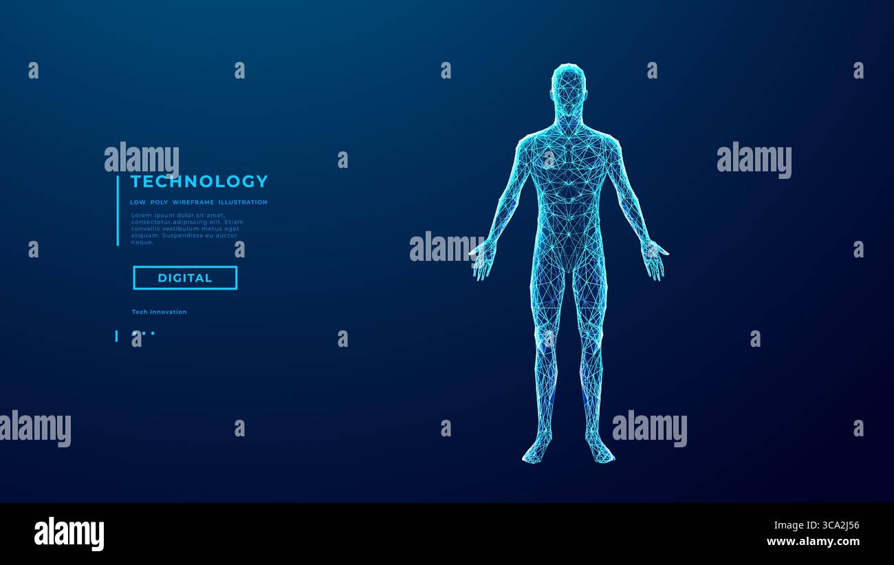 Abstract human body. Wireframe polygonal man silhouette Stock Vector ...
