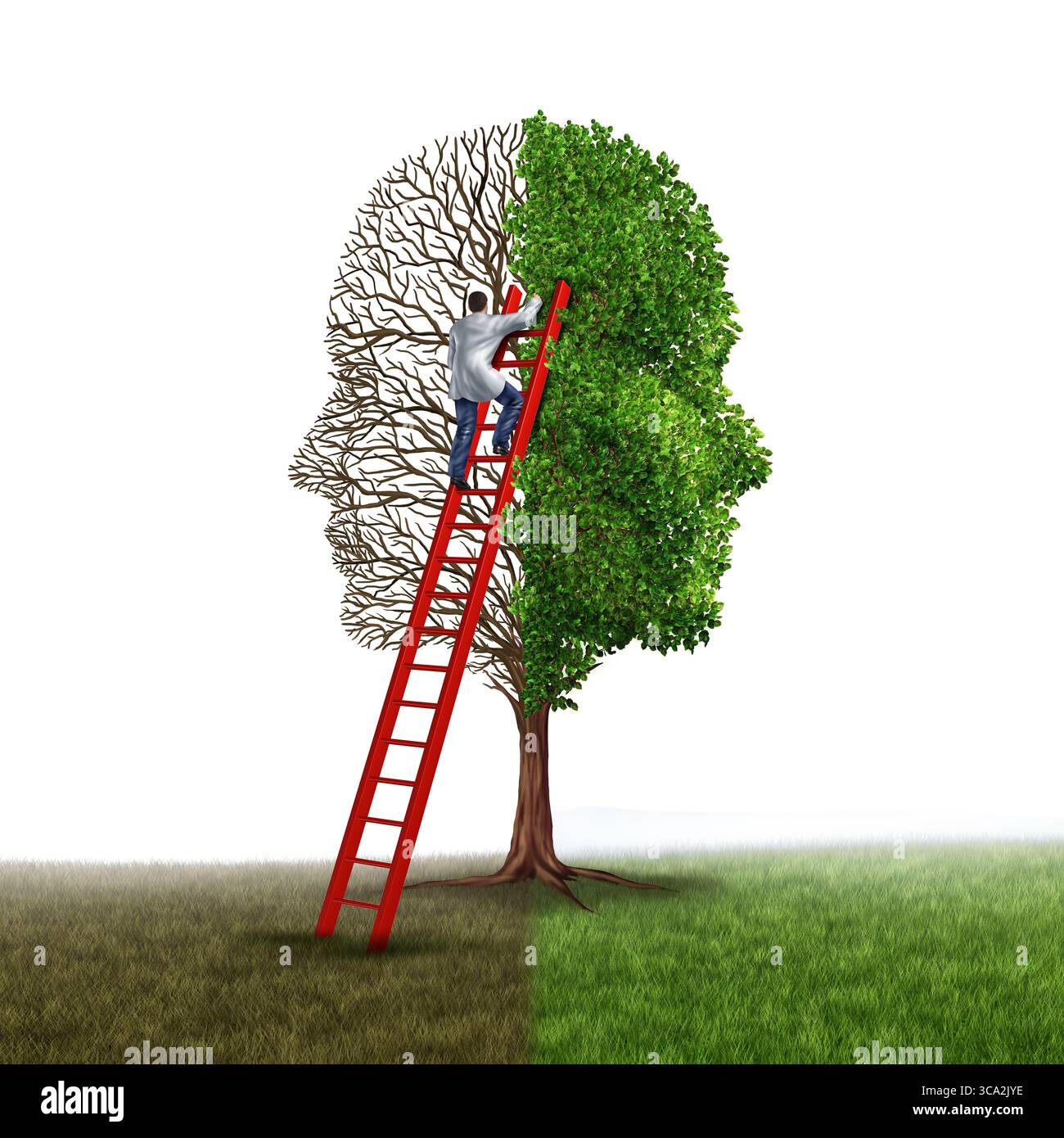 Reversing The Aging Process and Regenerative medicine as a longevity ...