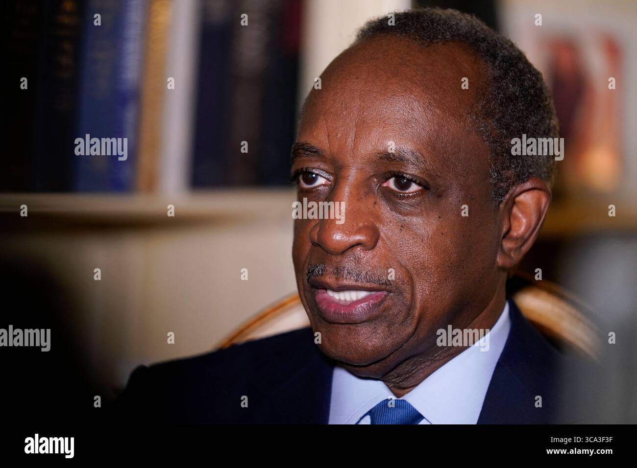 FILE - Author Michael Thurmond speaks during an interview with Associated Press about his new ...