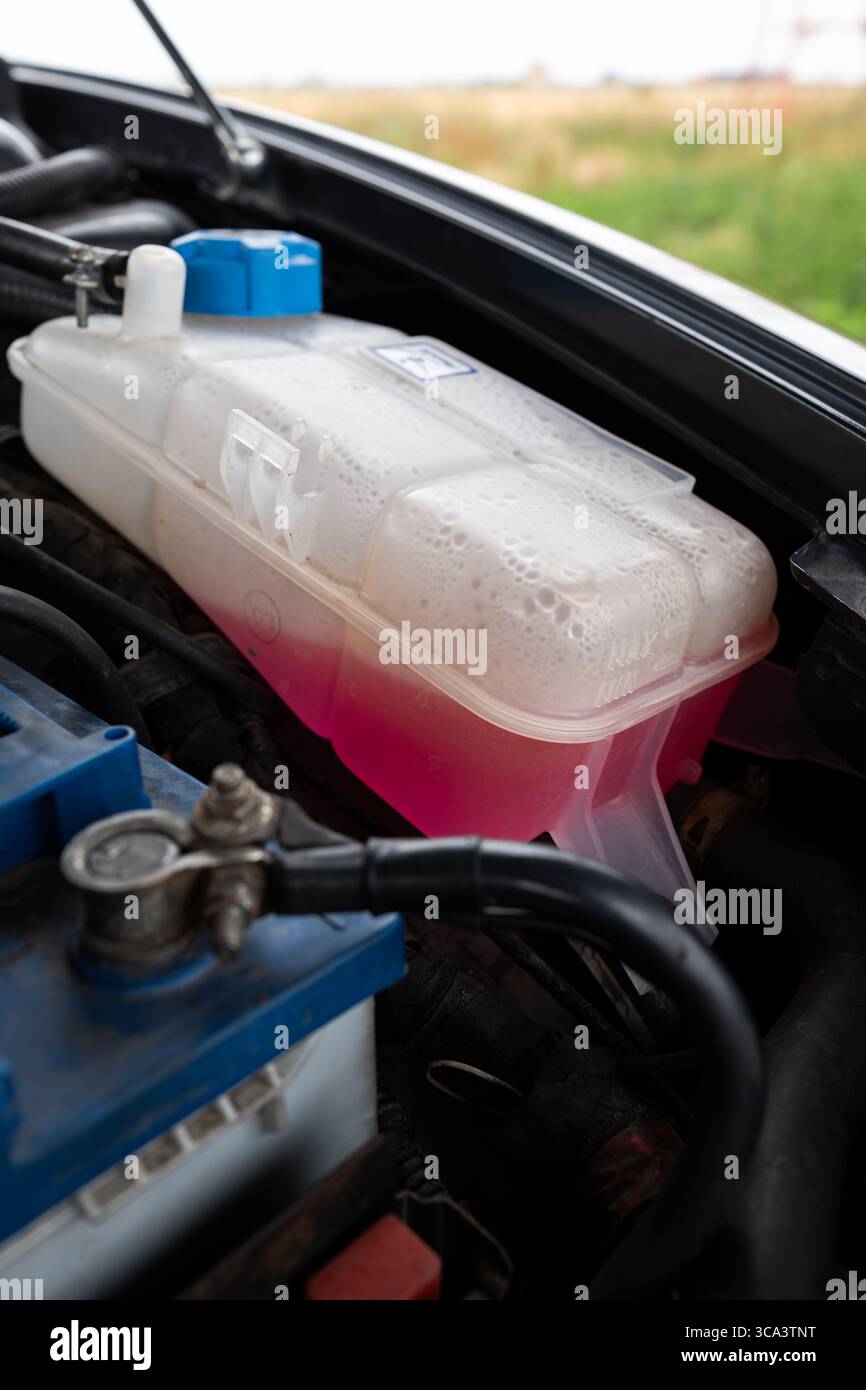 Car coolant liquid or antifreeze expansion tank or bottle, mounted in ...