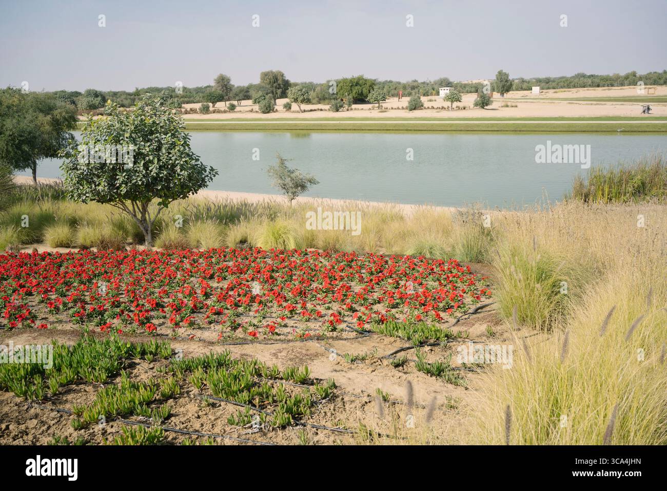 Remote gataway hi-res stock photography and images - Alamy