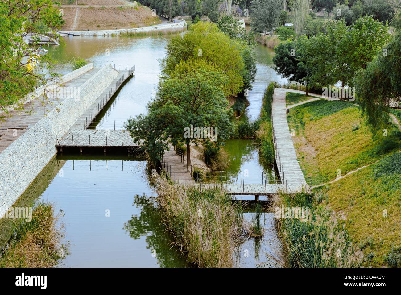 Wooden boardwalk paths curve through calm water, grasses, and trees ...