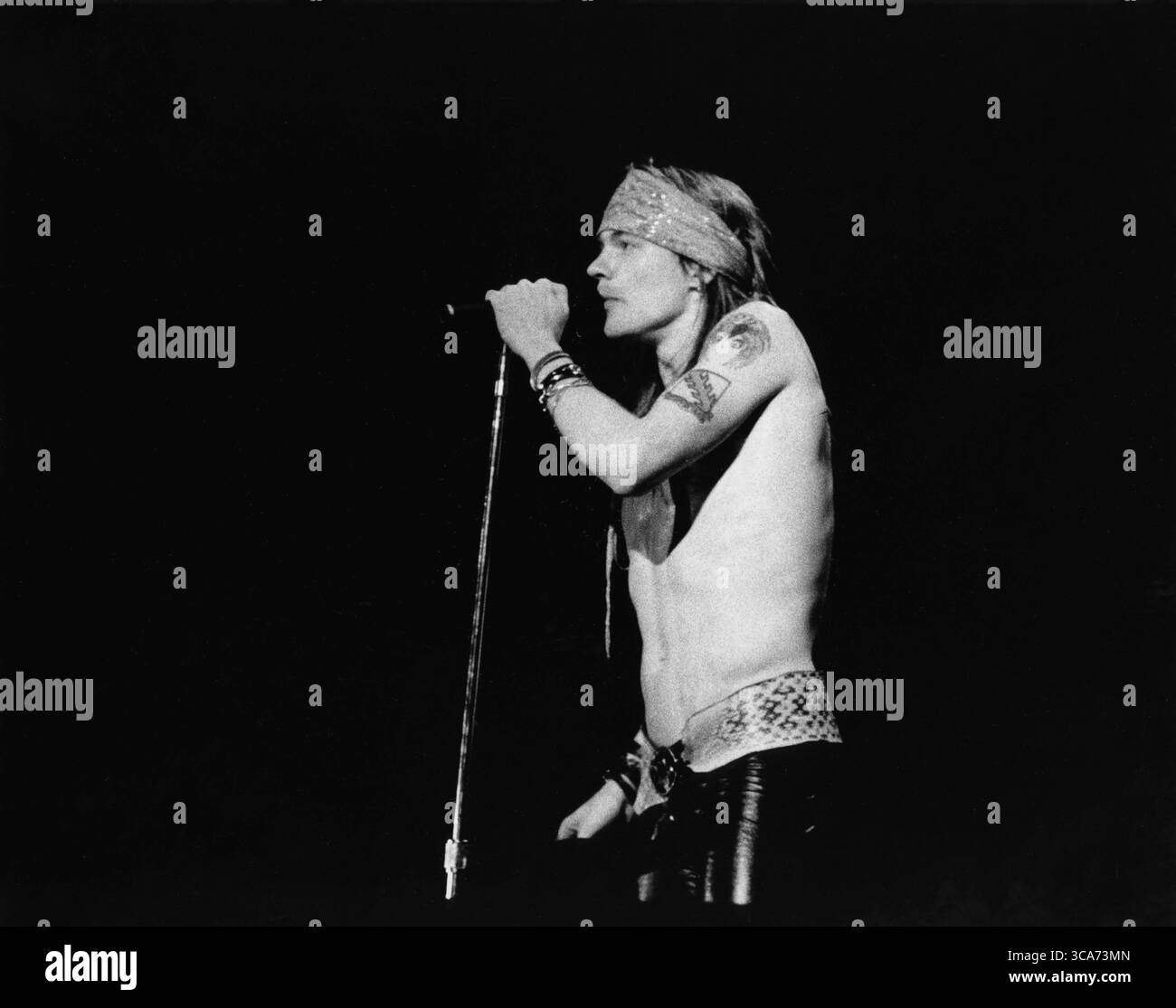 Christopher rose Black and White Stock Photos & Images - Alamy