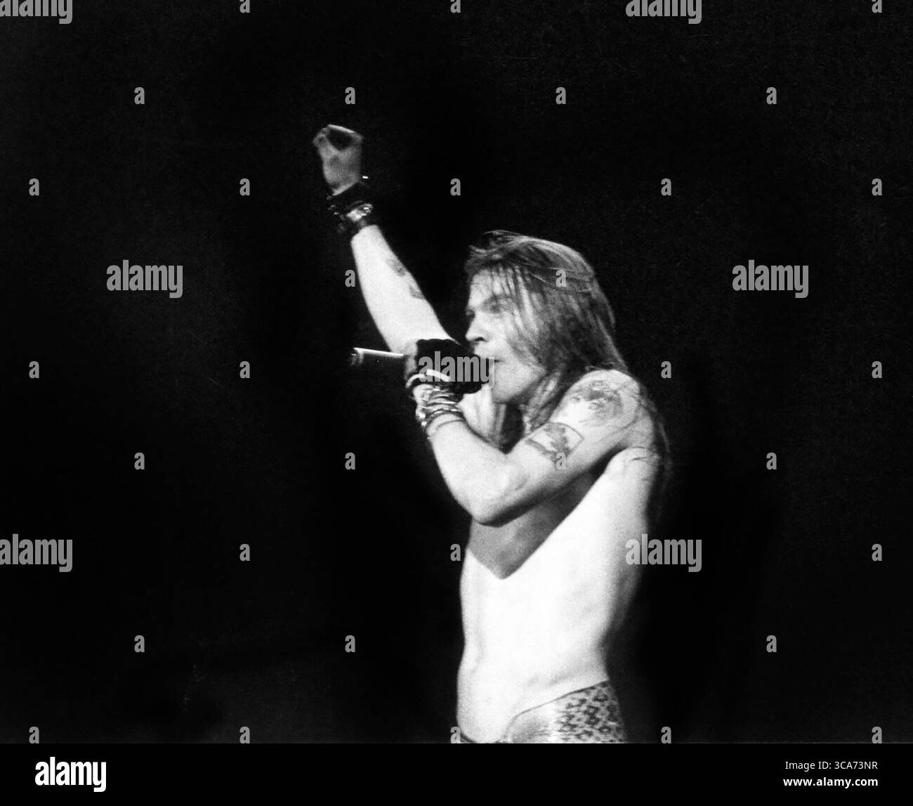 Christopher rose Black and White Stock Photos & Images - Alamy