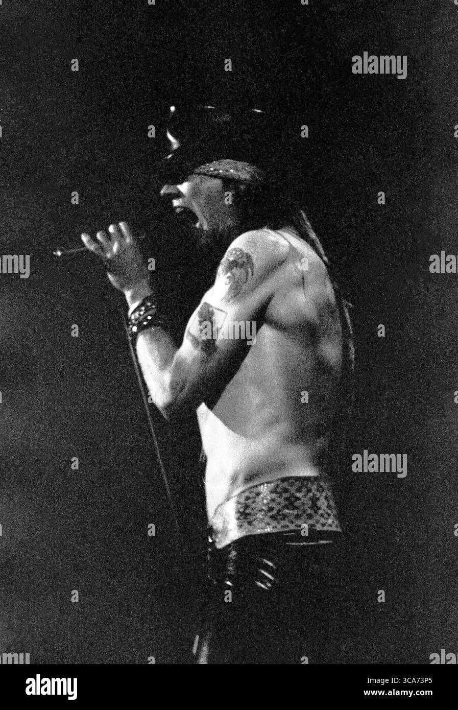 Christopher rose Black and White Stock Photos & Images - Alamy