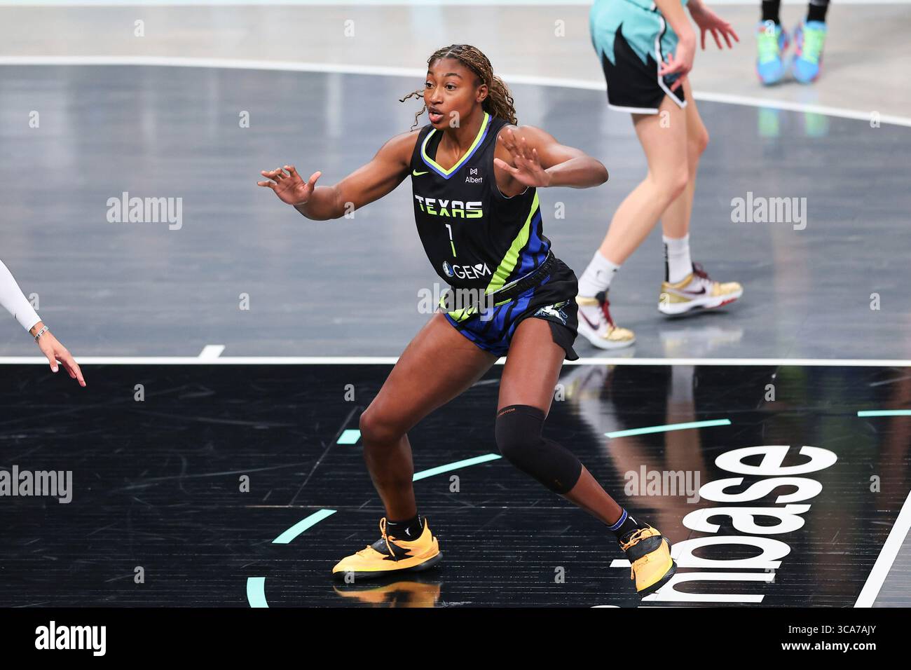 BROOKLYN, NY - AUGUST 05: Diamond Miller #1 of the Dallas Wings during ...